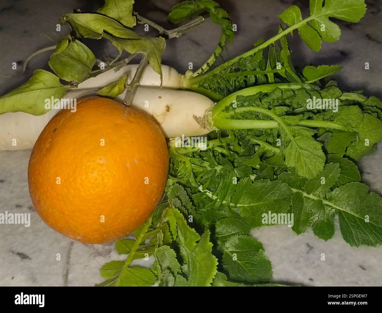 an orange and white radish with its leaves placed there Stock Photo - Alamy