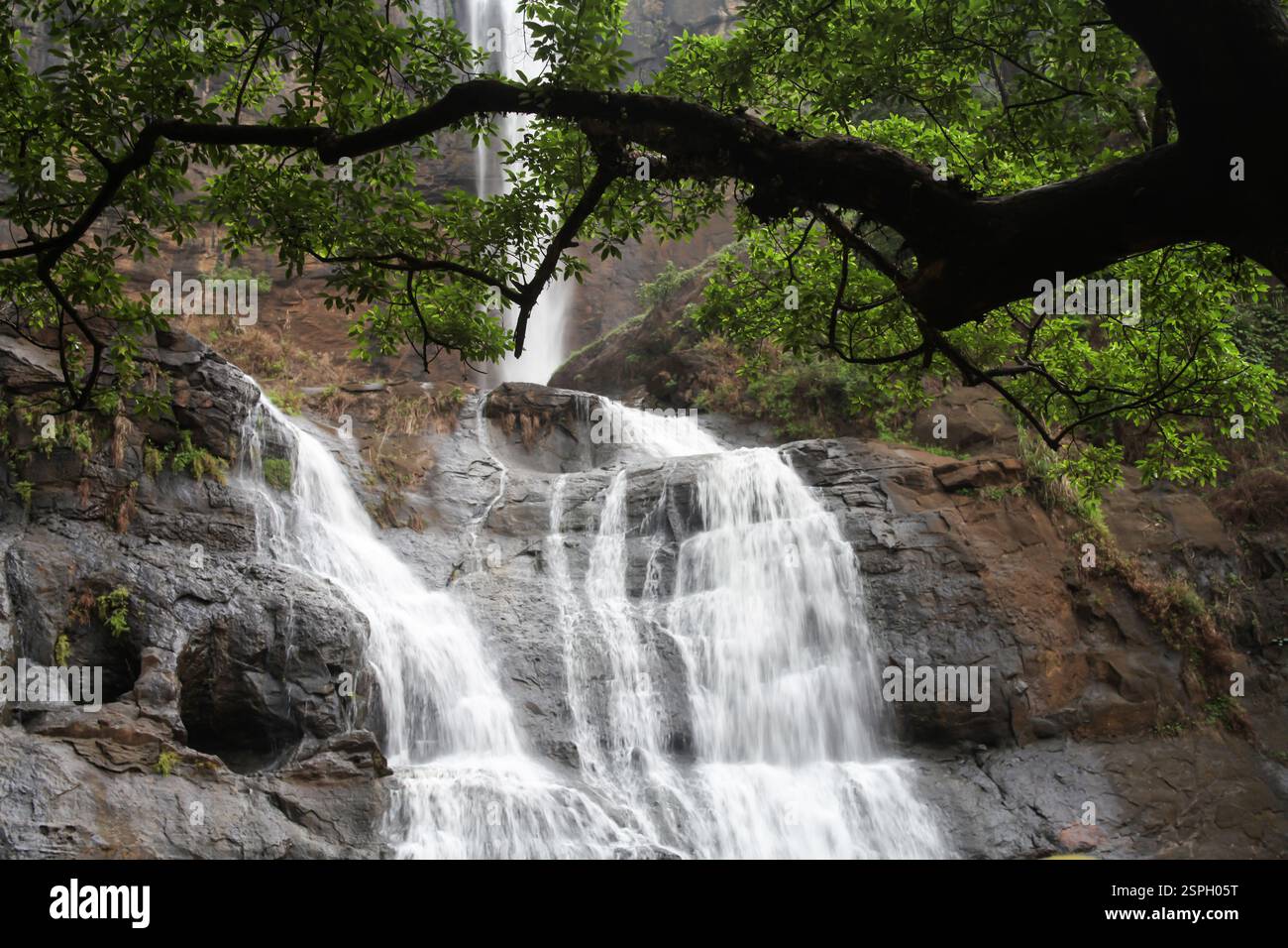 curug cikanteh (cikanteh waterfall) One Of beautiful waterfalls at Ciletuh Geopark, Sukabumi ...