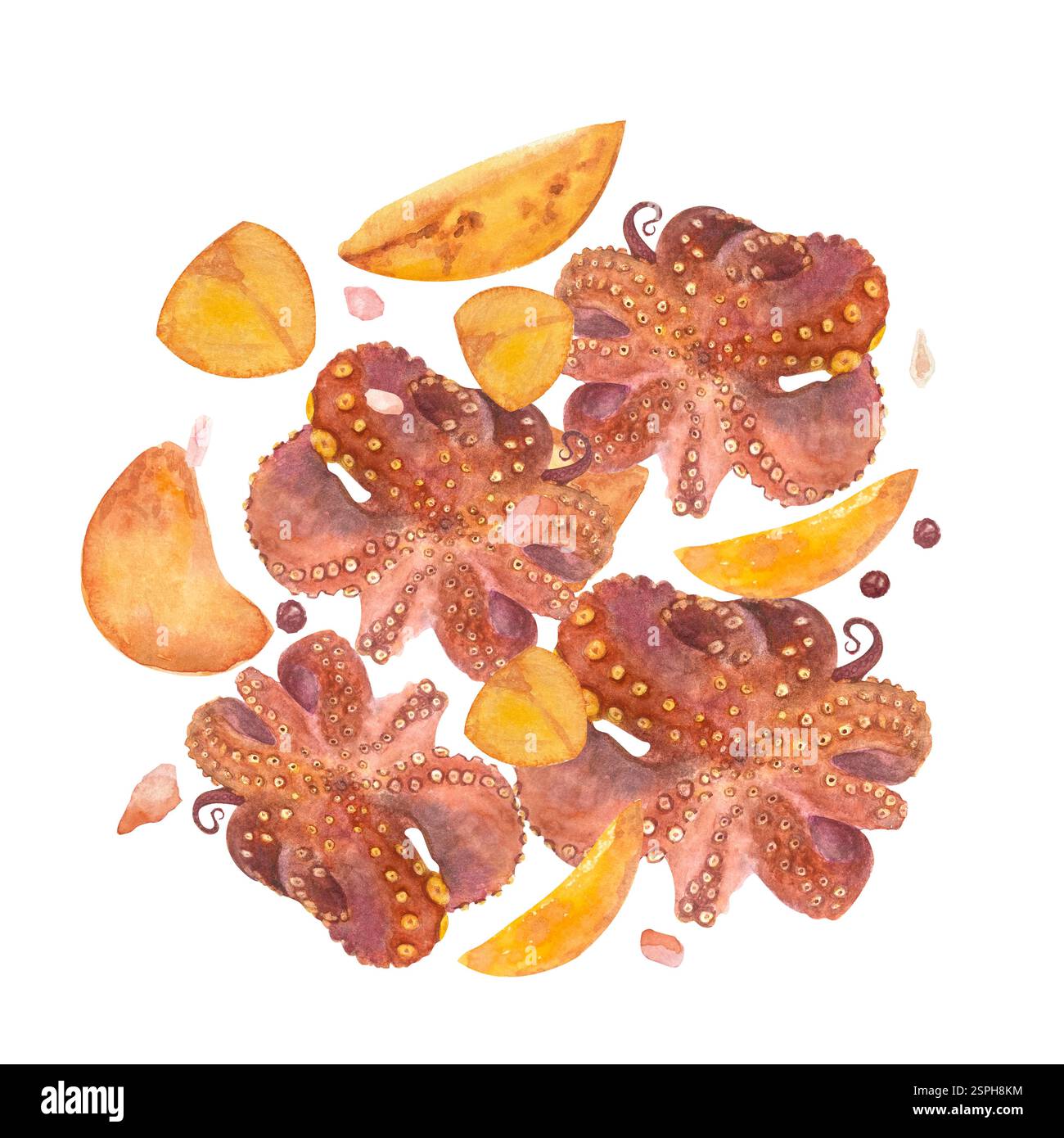 Fried octopus with potatoes, salt and pepper watercolor composition ...