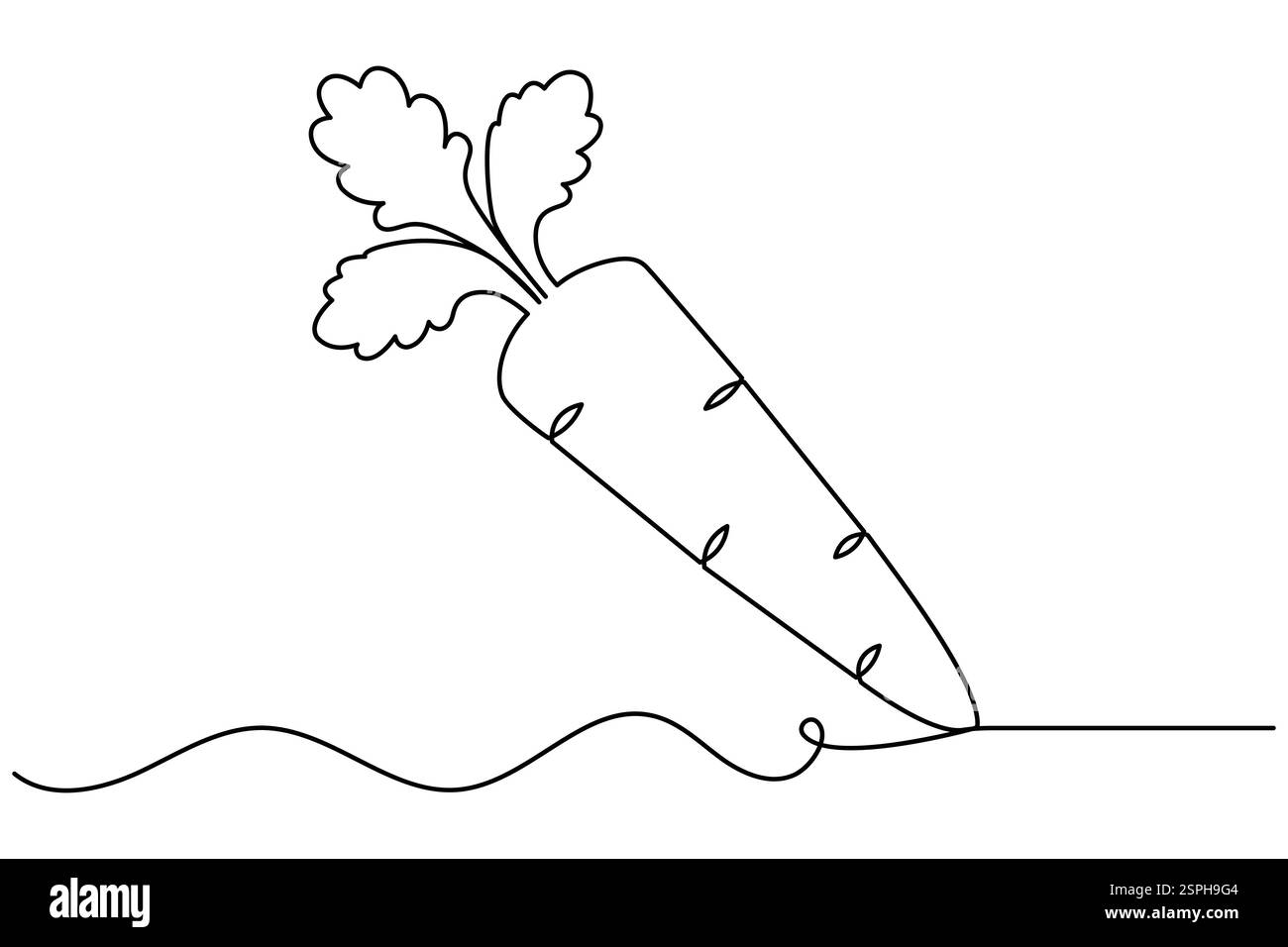 Continuous line drawing of carrot outline vector art illustration Stock ...