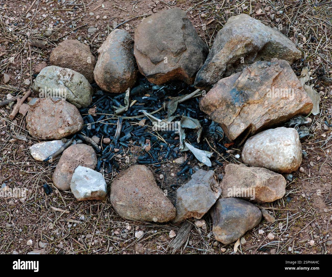 Silent Remnants – Extinguished Bonfire in the Woods Stock Photo - Alamy