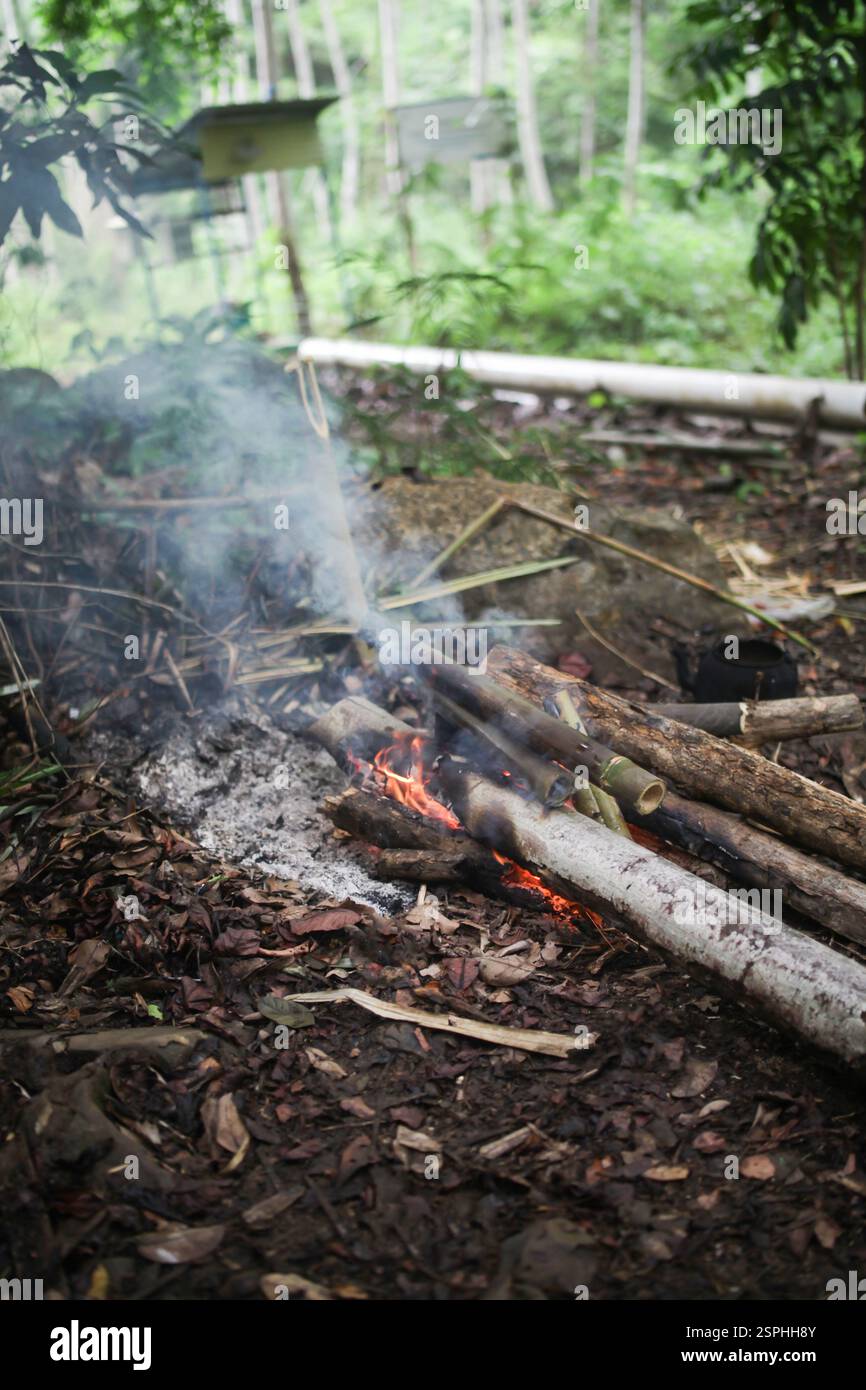 burn bamboo in the garden for traditional cooking Stock Photo - Alamy