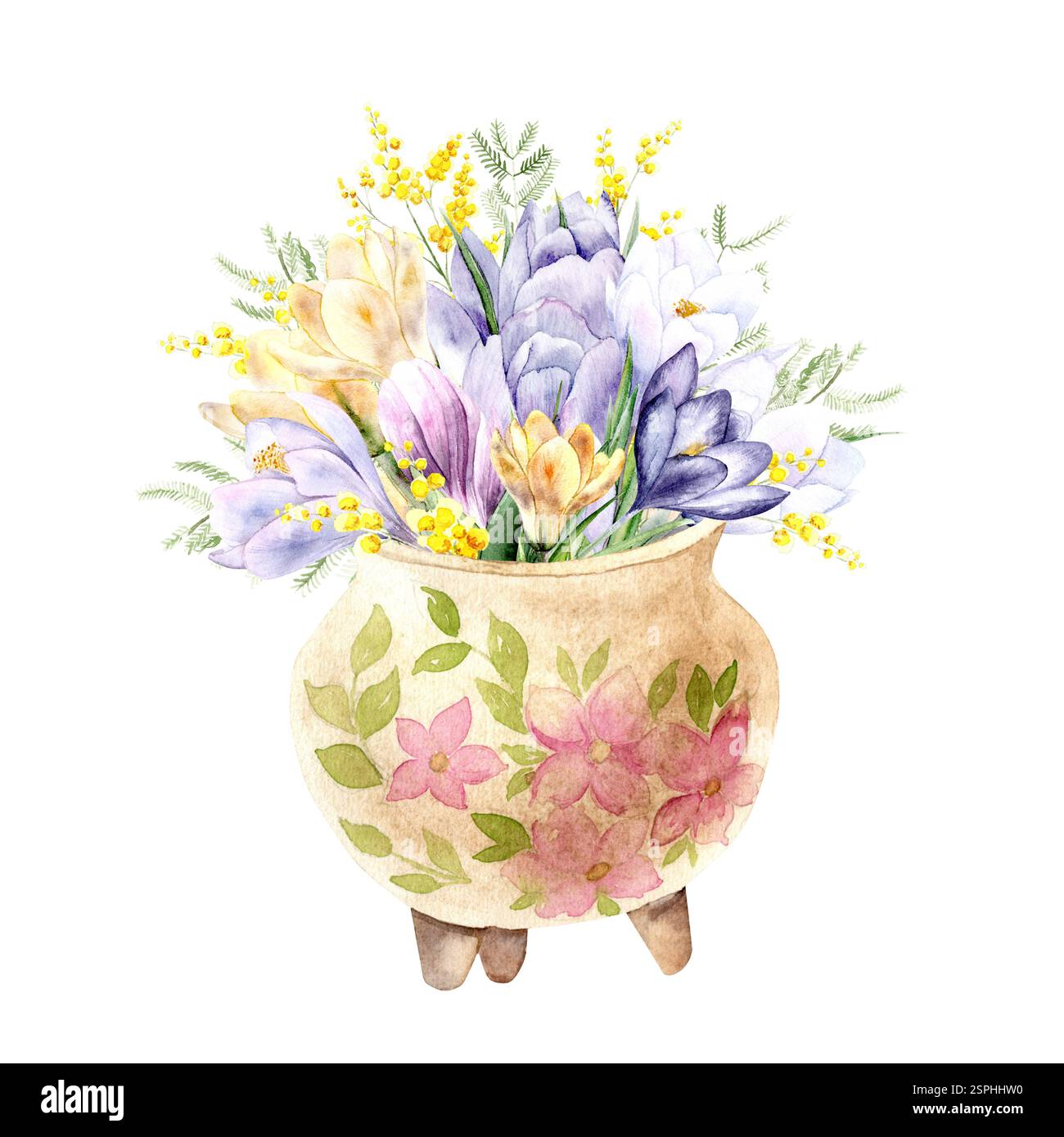 Botanical watercolor illustration bouquet of spring flowers of crocuses ...