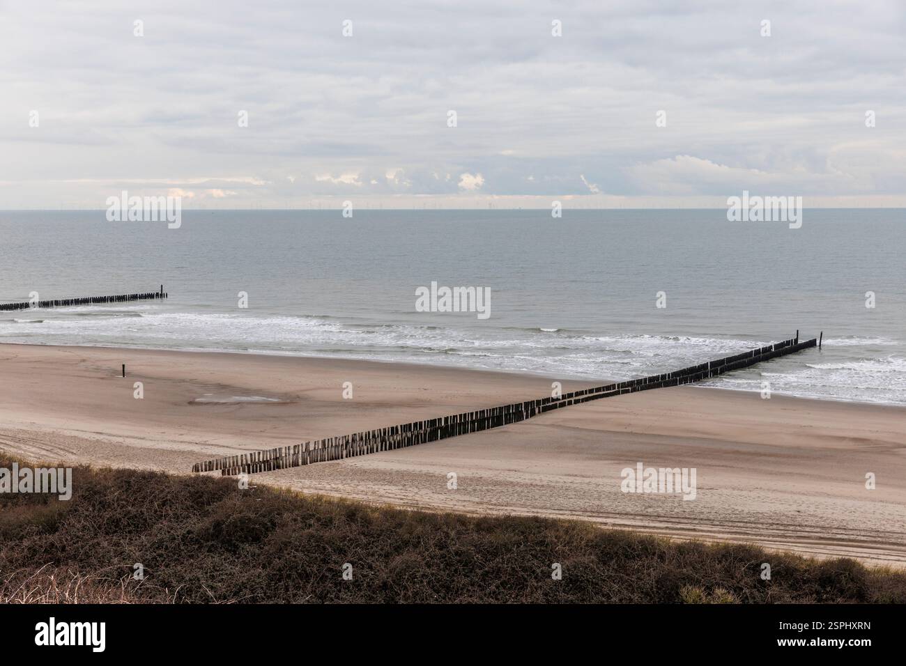 groynes on the beach in Domburg on Walcheren, Zeeland, Netherlands ...