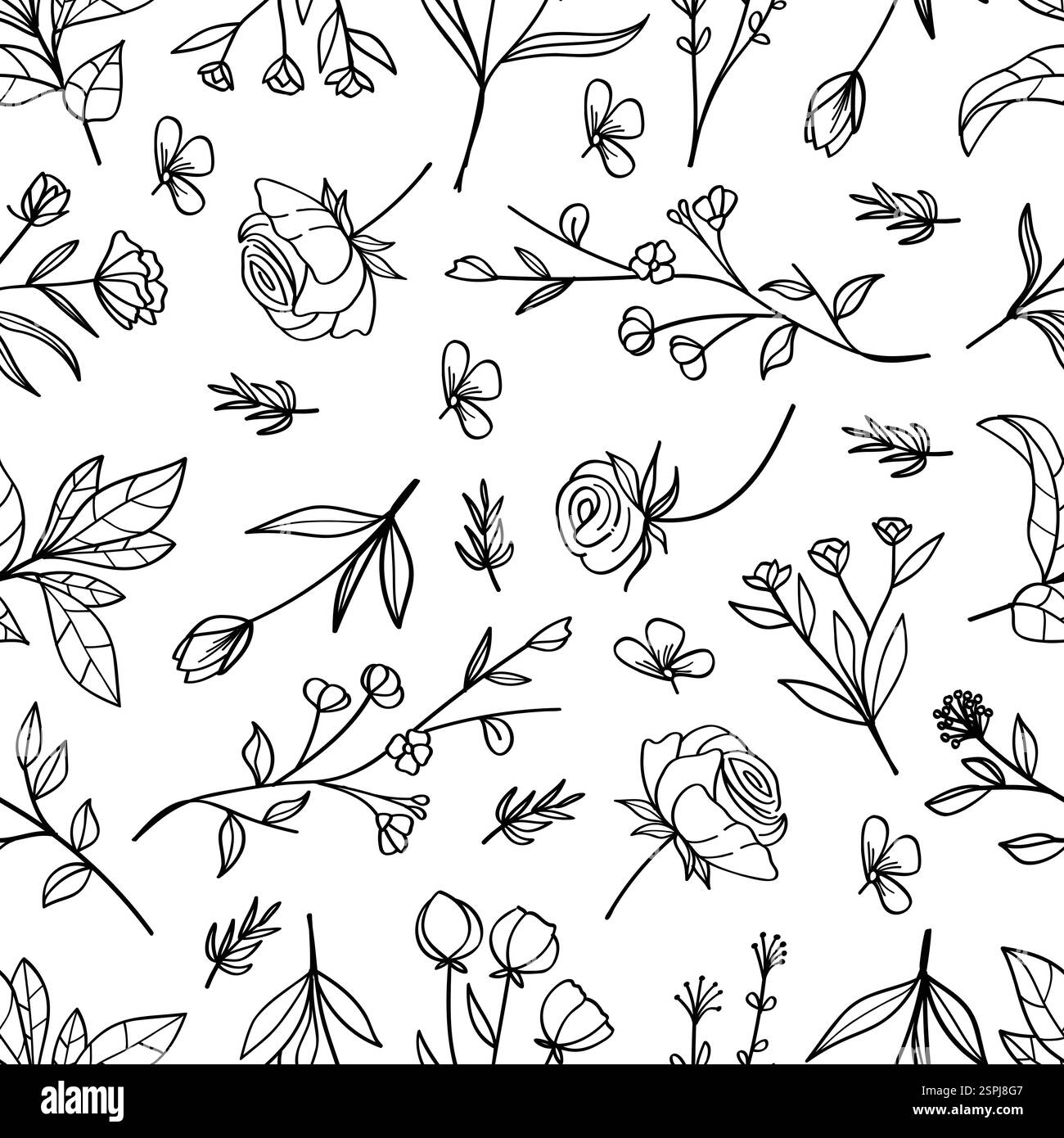 Seamless pattern rose flowers and plants hand-drawn line art isolated ...