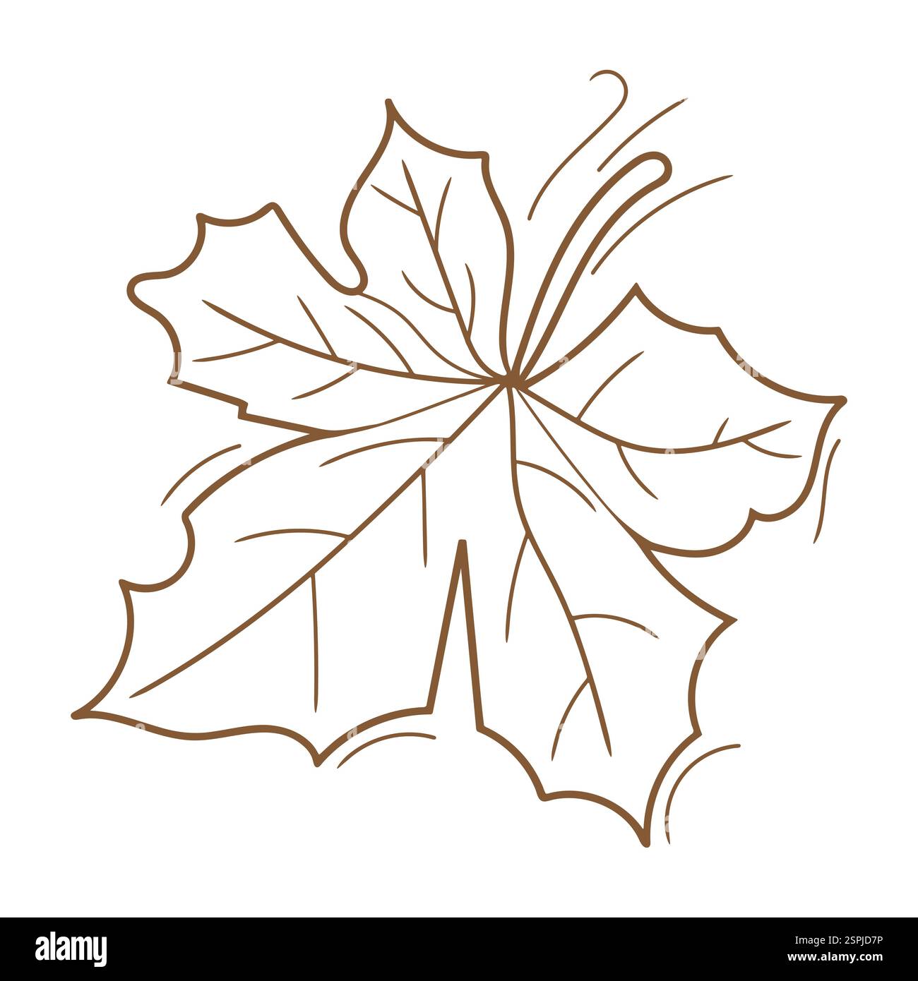 Hand drawn brown maple leaf line art vector illustration Stock Vector ...