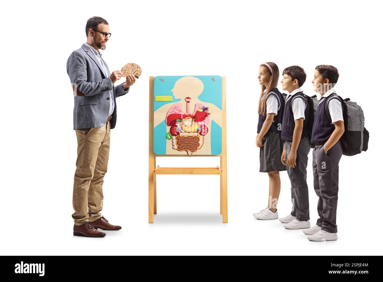 Biology teacher lecturing children about human brain and organs ...