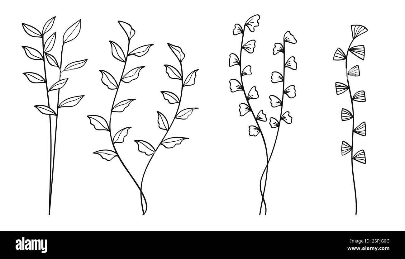 Hand-Drawing Plant Line Art Collection.Vector illustration Stock Vector ...