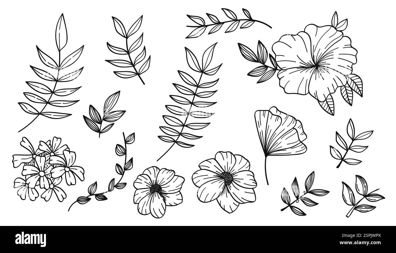 A collection of hand-drawn botanical line art featuring flowers, leaves ...