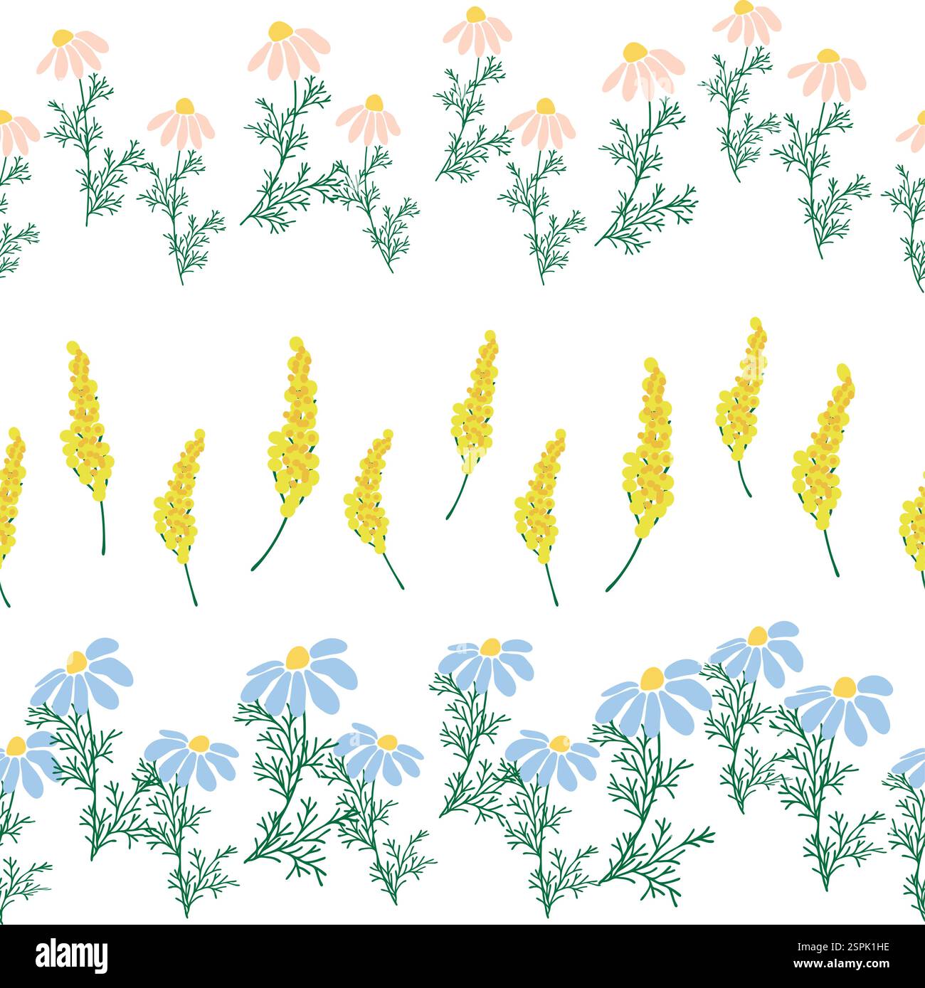 Chamomile, rudbeckia, clover, leaves, poppies, lilies of the valley, berries, tulips, assembled ...