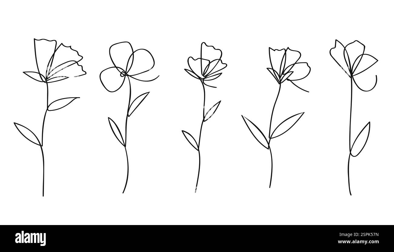 Single line art vector flower illustration collection.One continuous ...