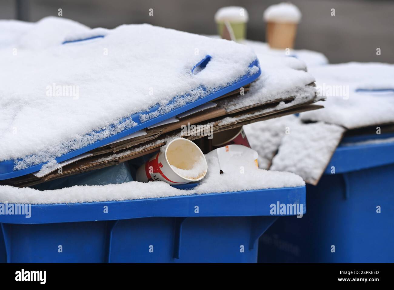 Volle Blaue Papiertonne, der Deckel laesst sich nicht merh vollends ...
