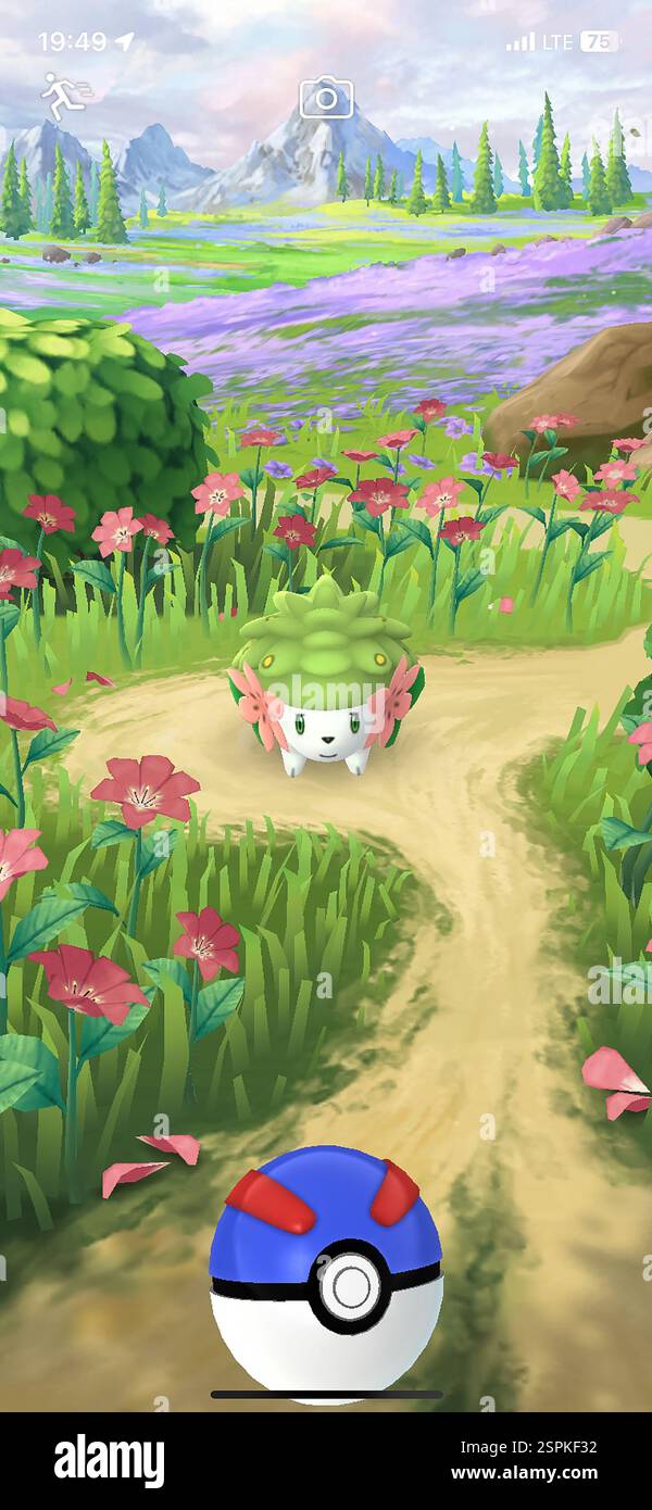 Game amidst trees hi-res stock photography and images - Alamy