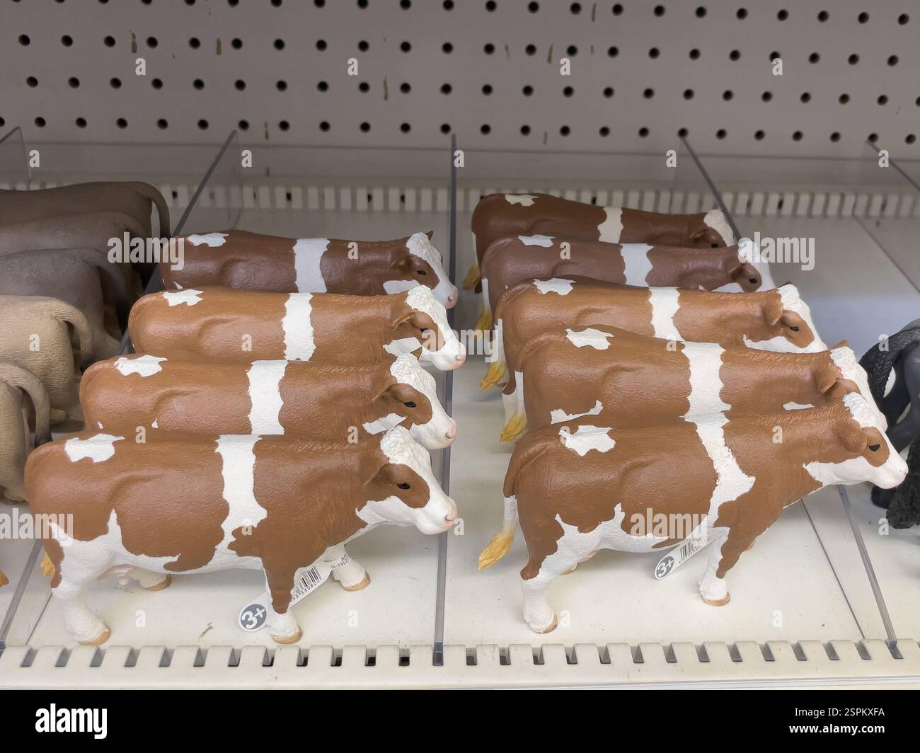 A shelf displays eight brown and white plastic toy cows, arranged in ...
