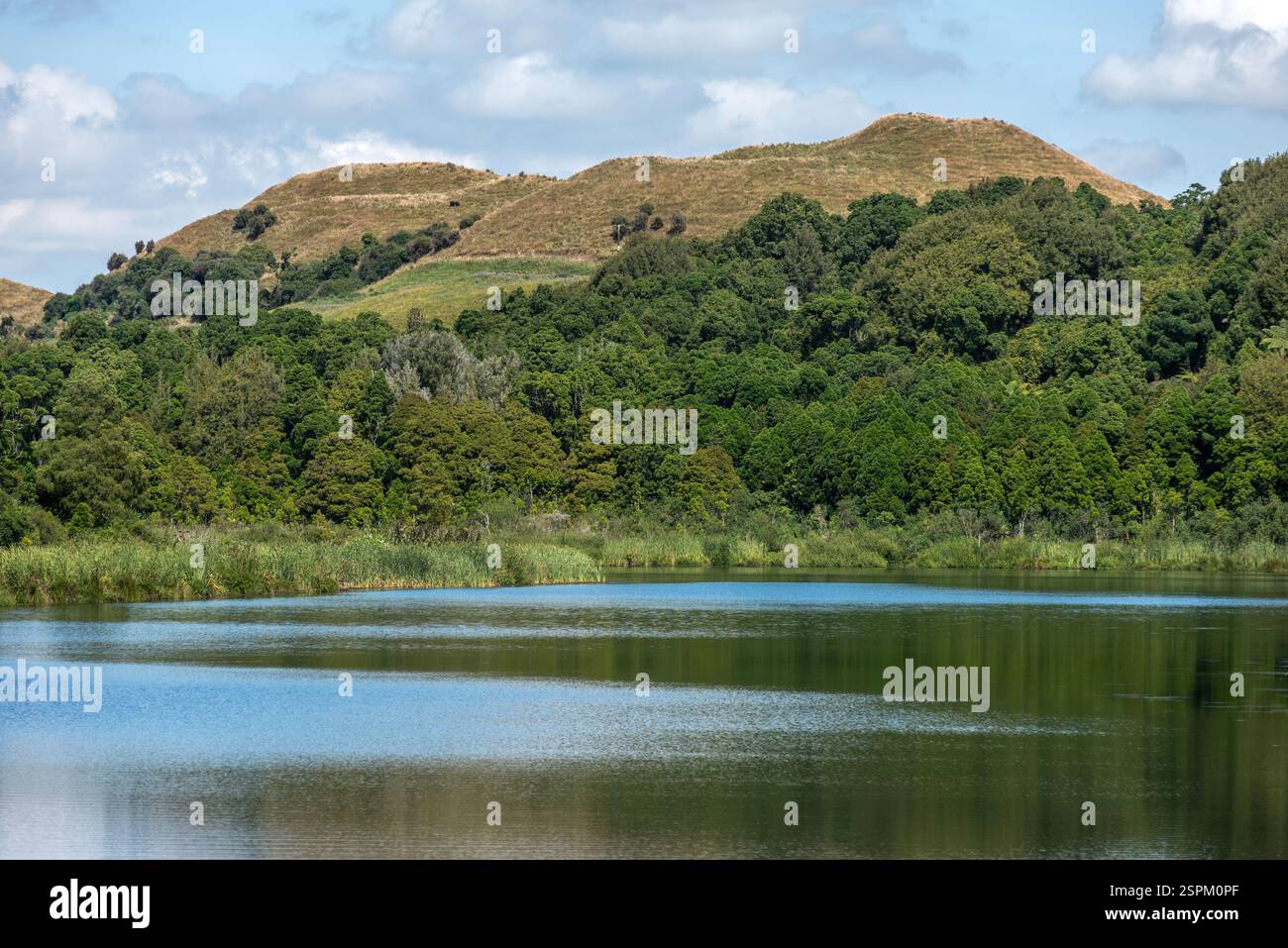 New Plymouth, January 20th 2025: Rotokare scenic reserve Stock Photo ...