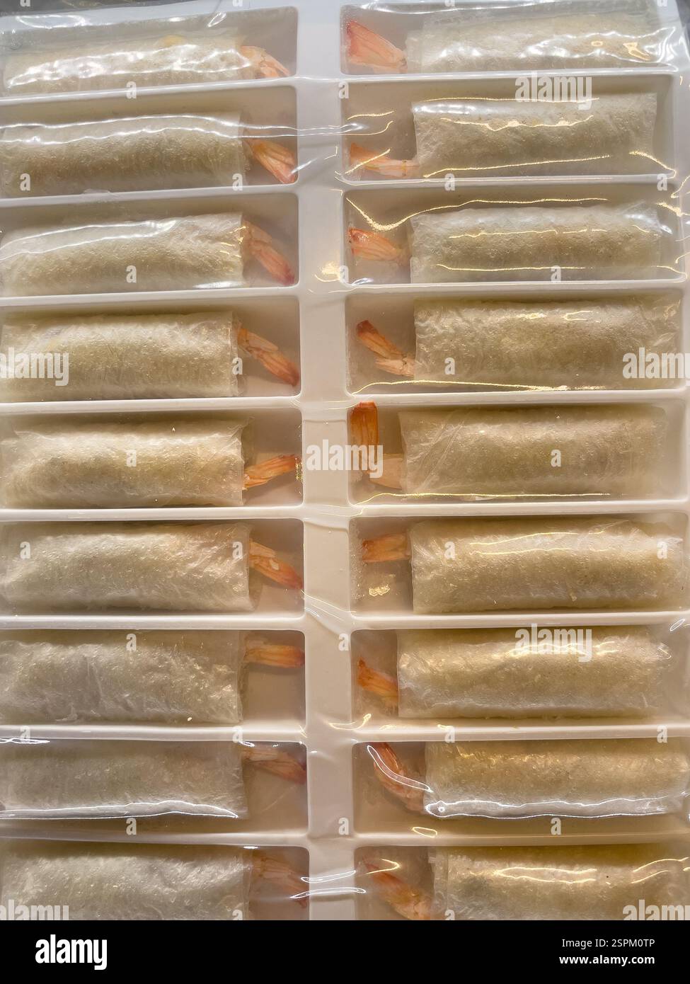 A white plastic tray holds multiple individually wrapped shrimp spring ...