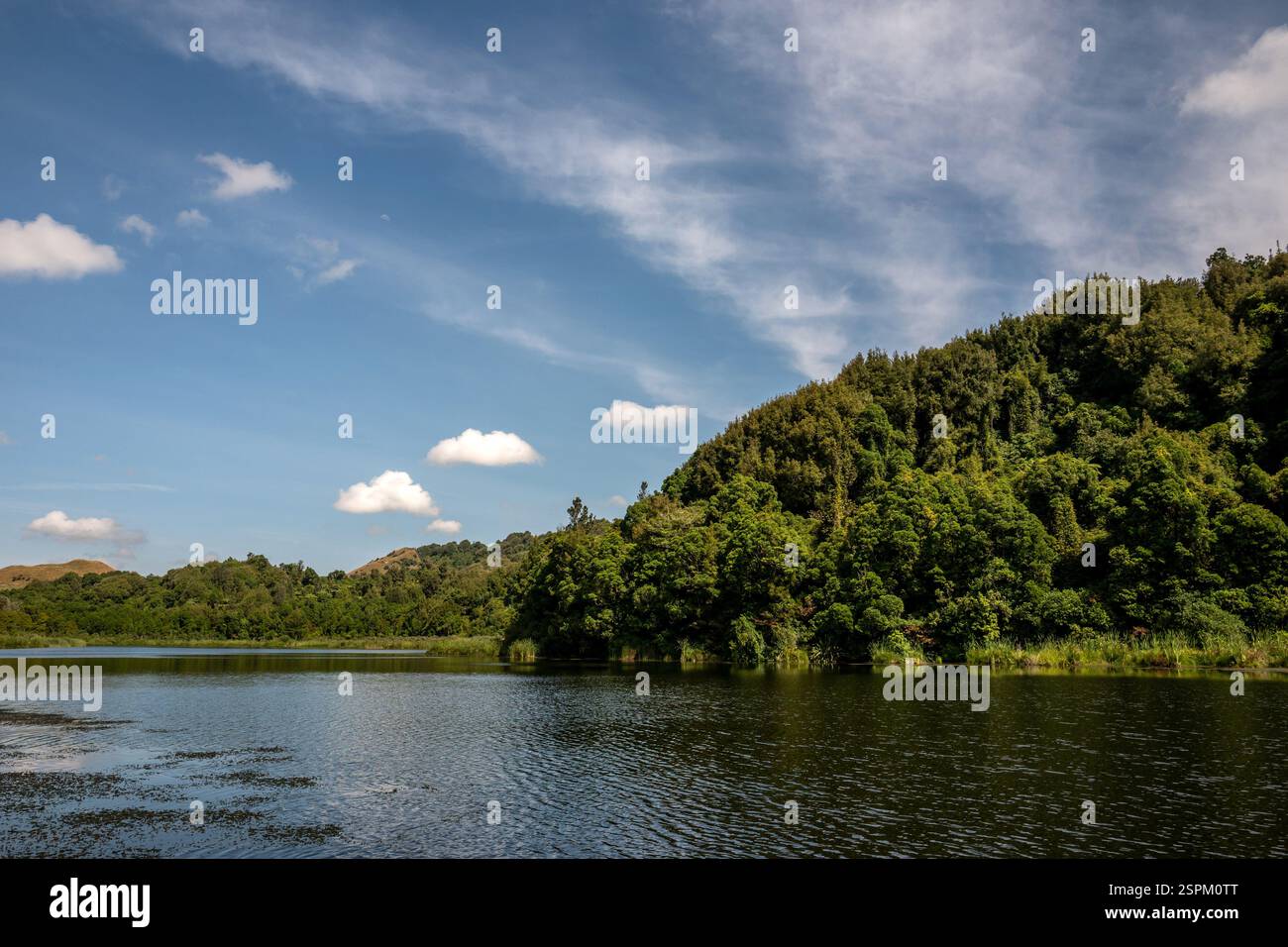New Plymouth, January 20th 2025: Rotokare scenic reserve Stock Photo ...