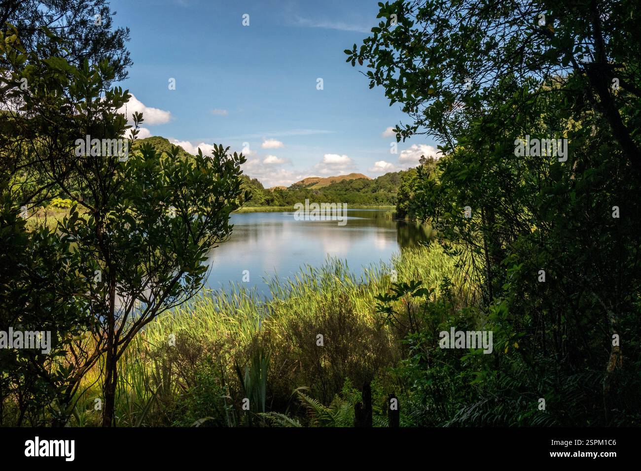 New Plymouth, January 20th 2025: Rotokare scenic reserve Stock Photo ...
