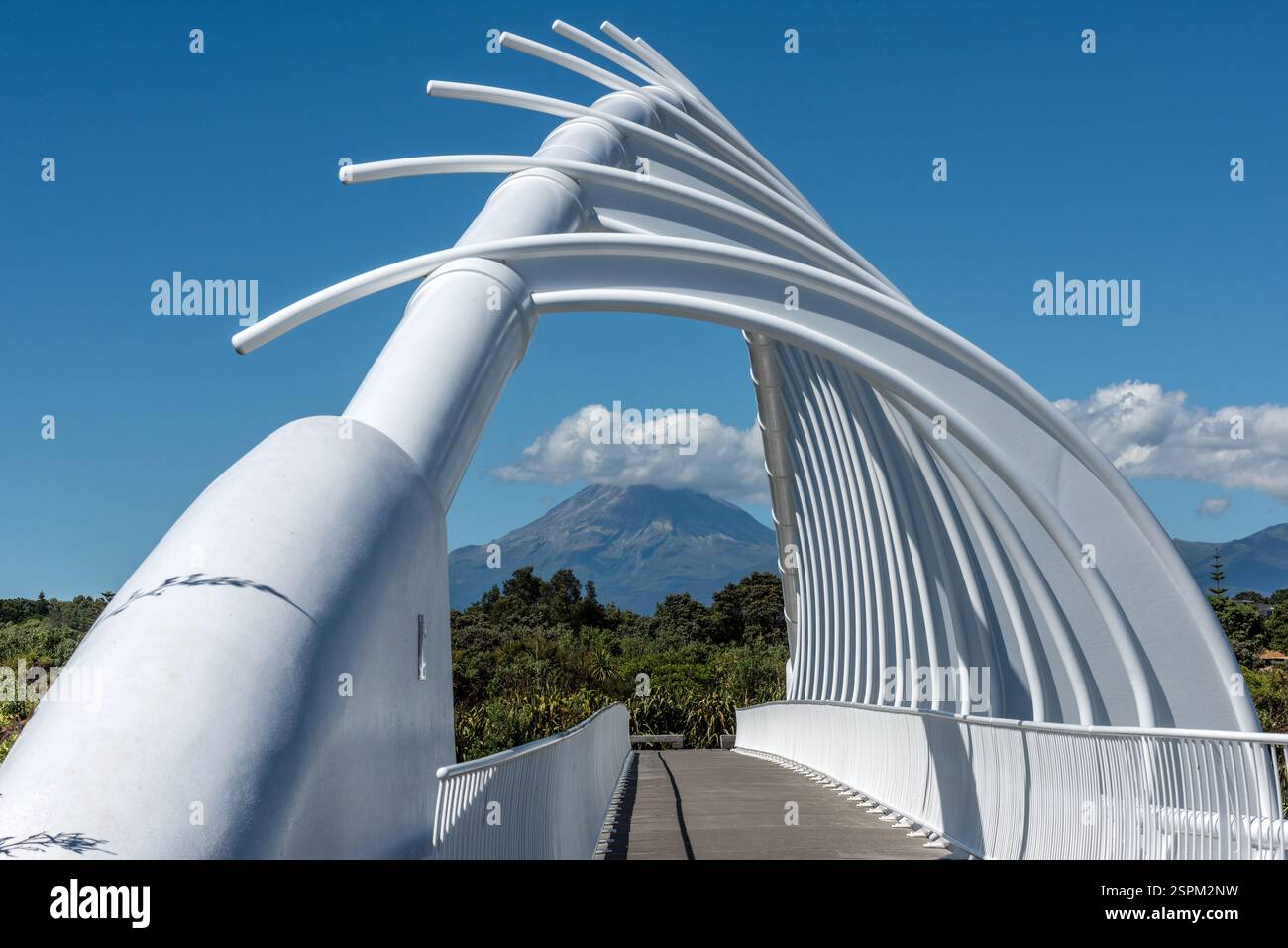 New Plymouth, January 21st 2025: Te Rewa Rewa Bridge Stock Photo - Alamy