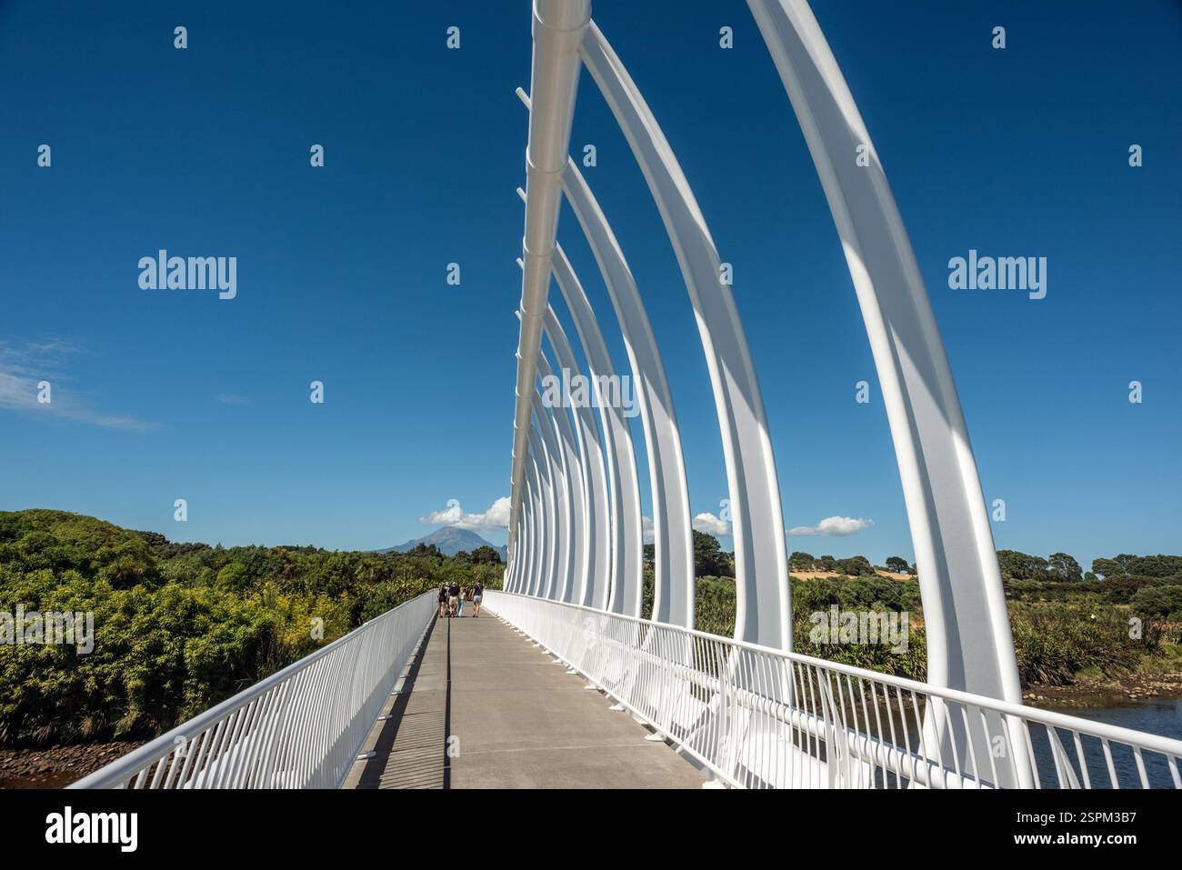 New Plymouth, January 21st 2025: Te Rewa Rewa Bridge Stock Photo - Alamy