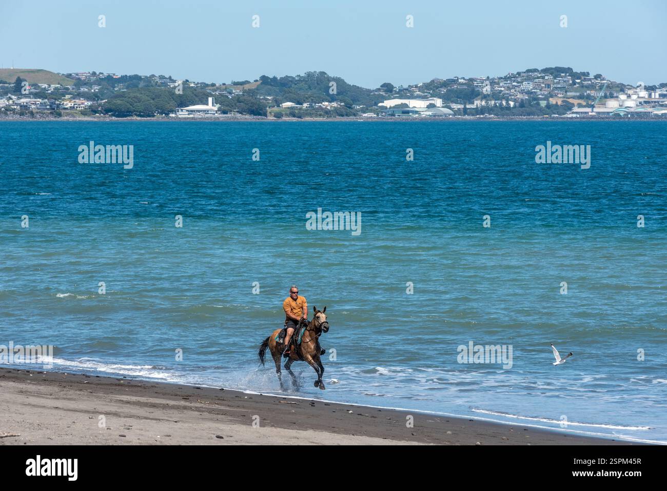 New Plymouth, January 21st 2025: Fitzroy Beach Stock Photo - Alamy