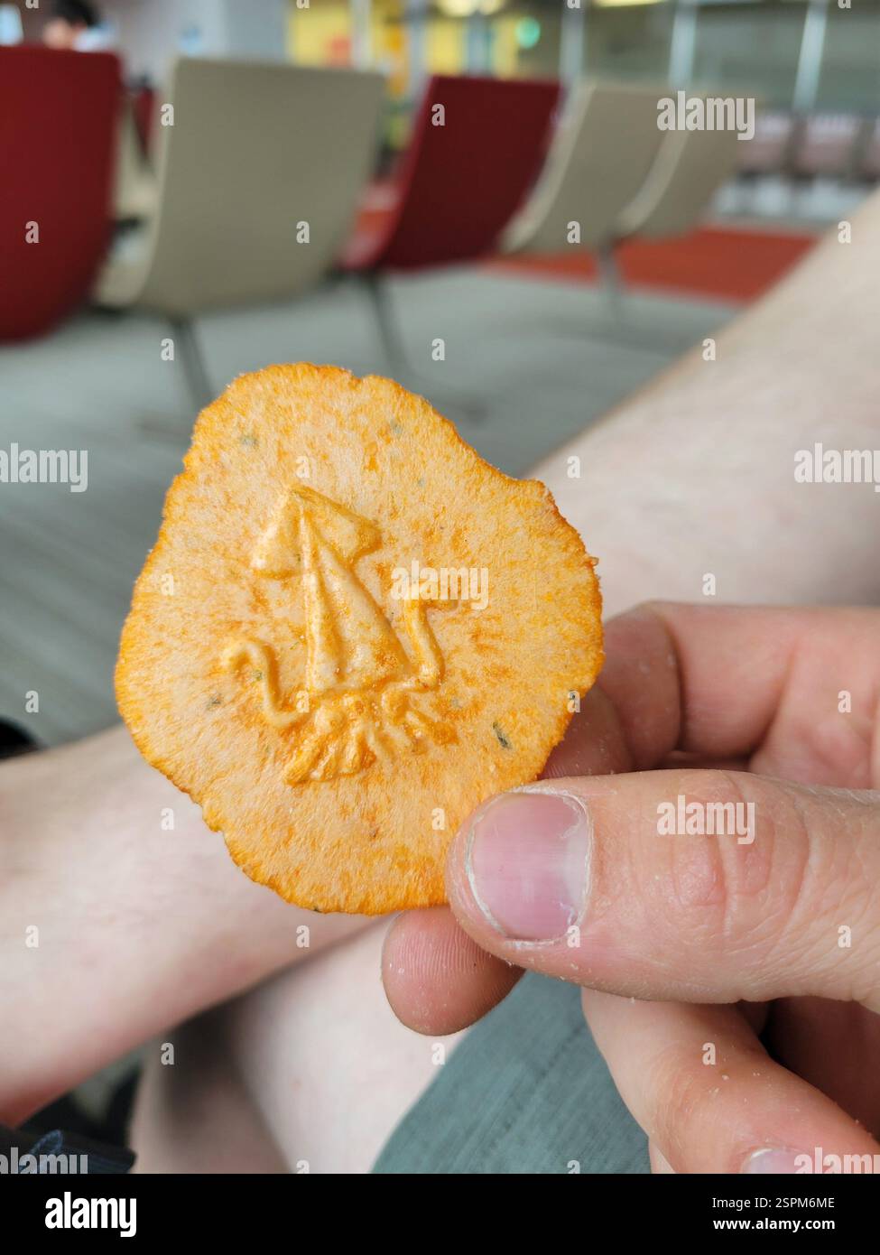 A person is holding a potato chip that has a cute frog design stamped ...