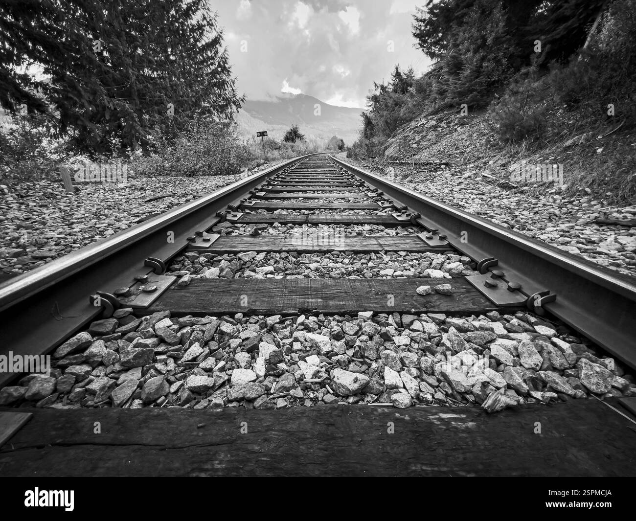 Black and white image of train tracks heading into the distance with ...
