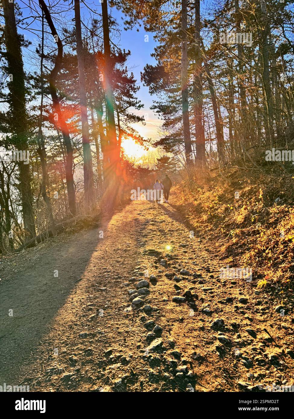 Pathway up mountain hi-res stock photography and images - Alamy