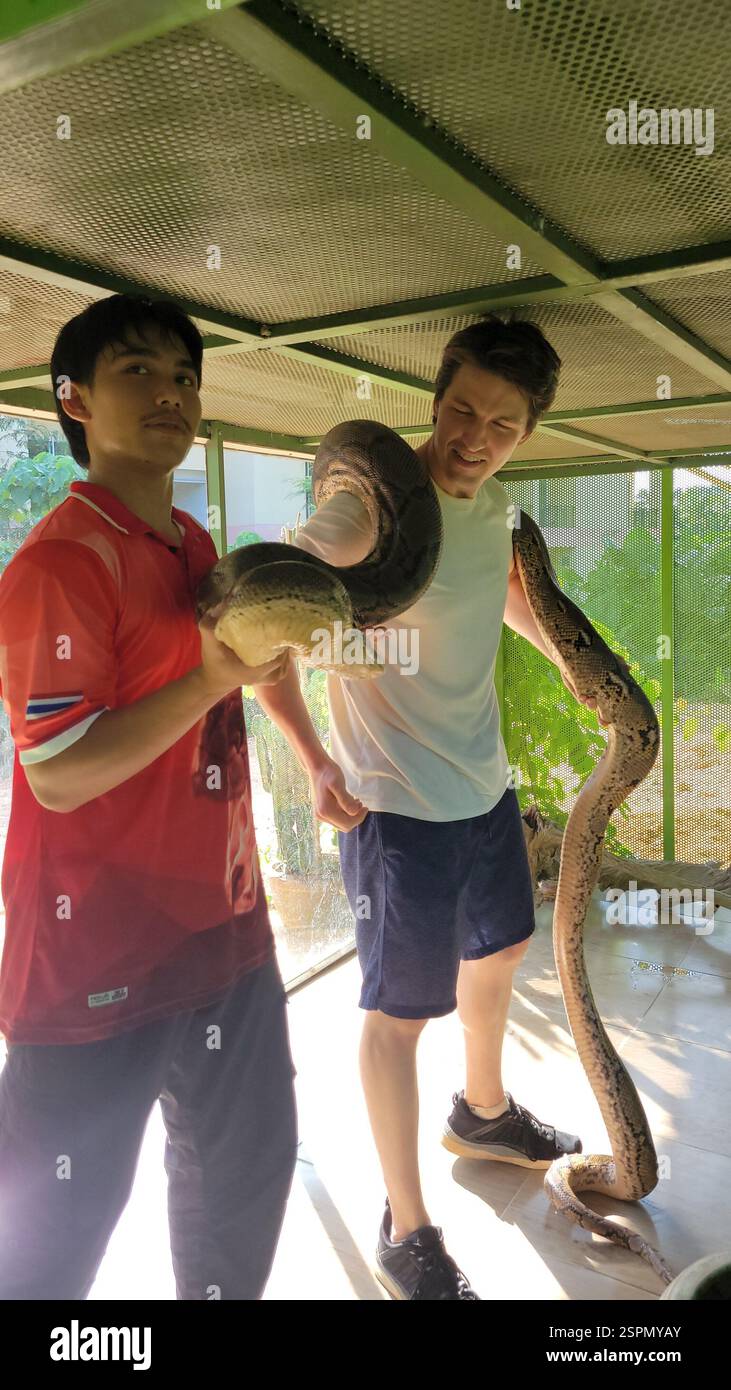 Tourists interact with snakes at a wildlife sanctuary in Thailand Stock ...