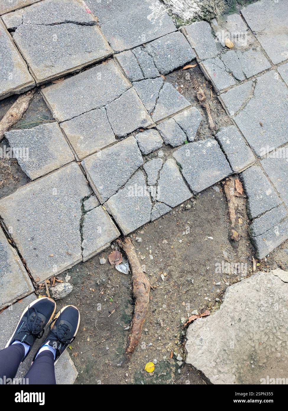 A persons feet are firmly standing on a cracked and uneven sidewalk ...