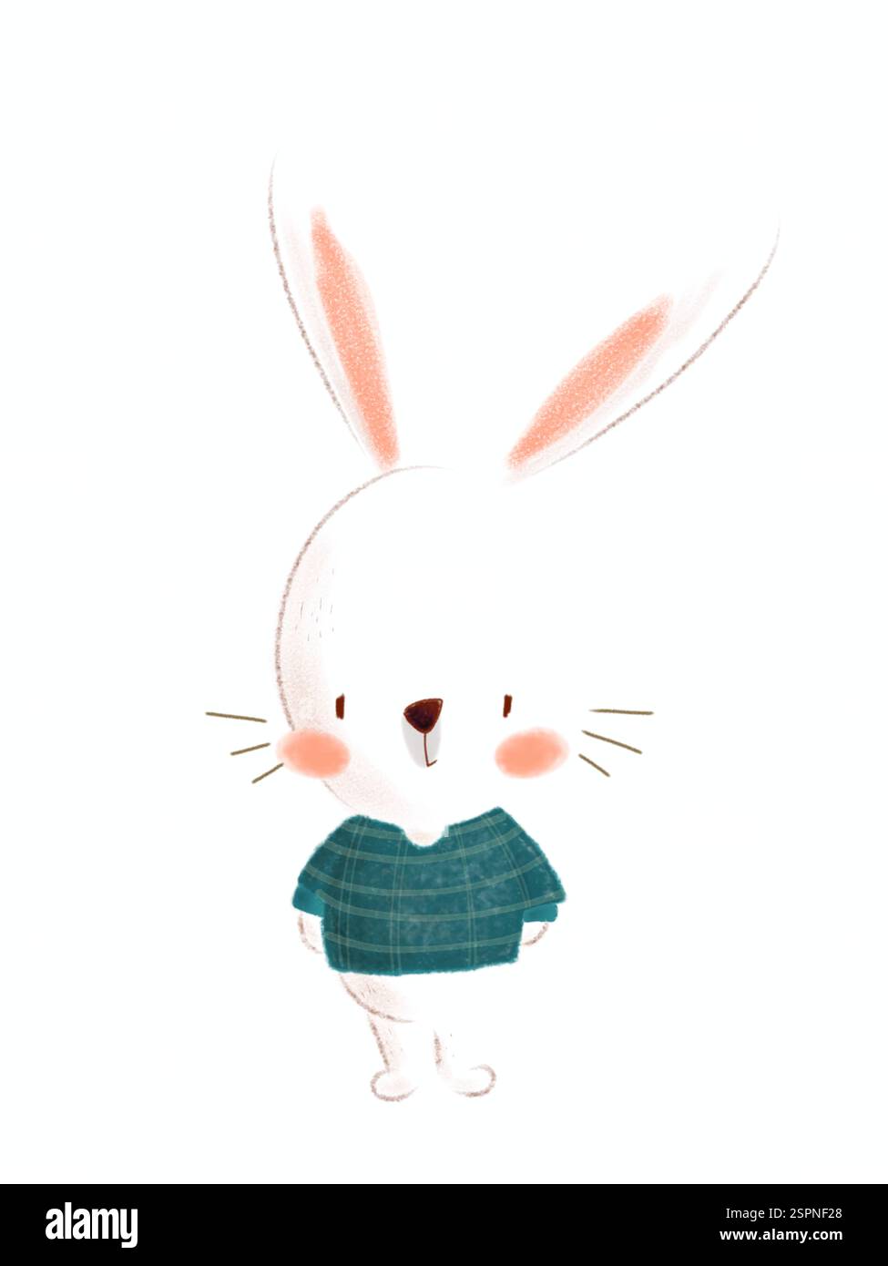 cute bunny is standing and wearing pretty clothes illustration isolated ...
