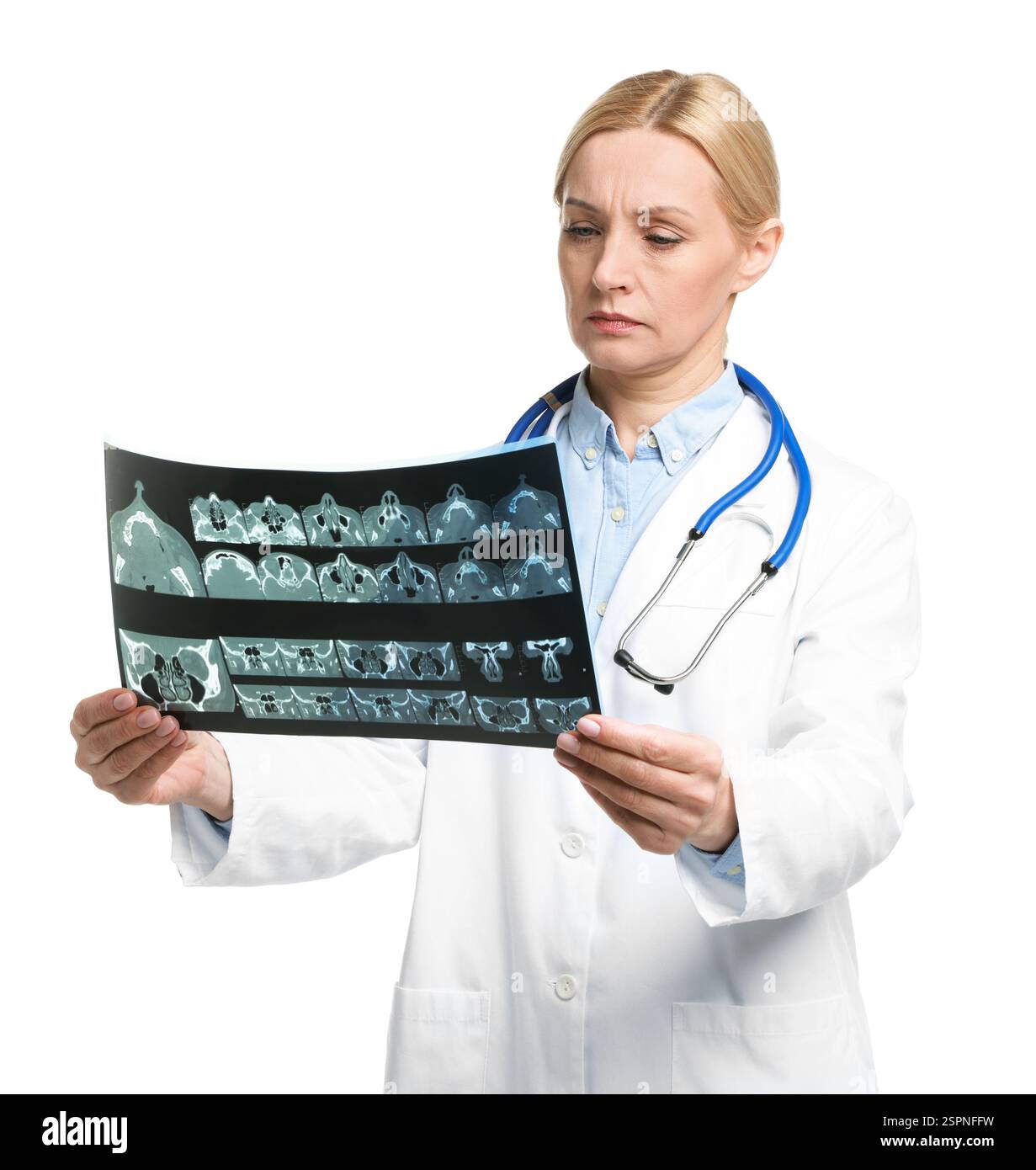 Doctor examining x-ray image of paranasal sinuses on white background ...