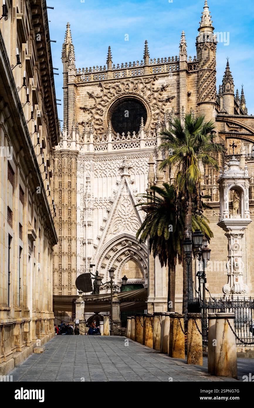 A picturesque view of a historic cathedral with intricate architecture ...