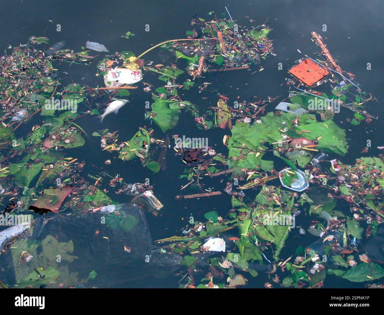 water pollution from plastics and waste, environmental pollution in nature water pollution from ...