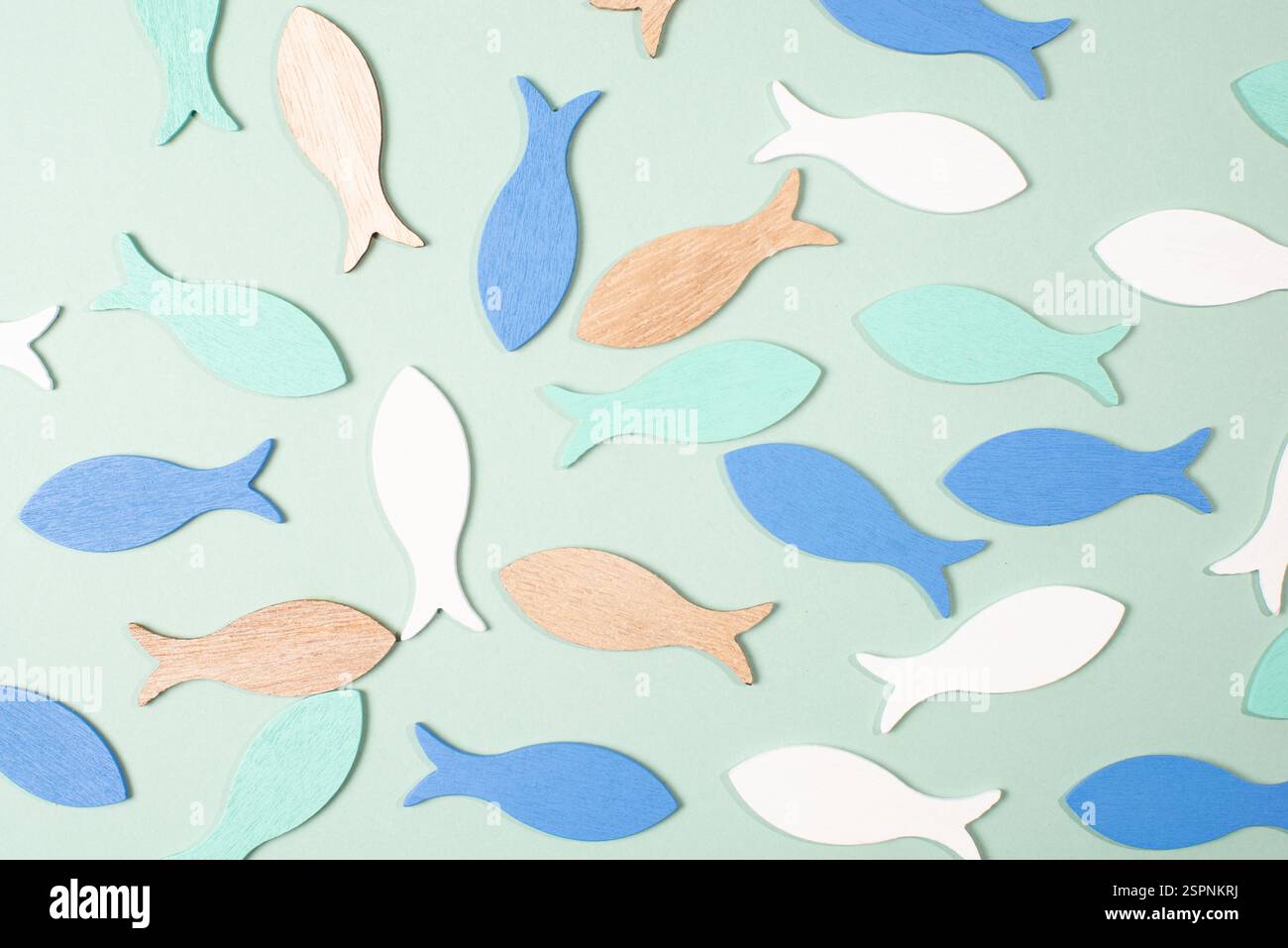 Tolerance, equality, inclusion, diversity, gender and ethnic race ...