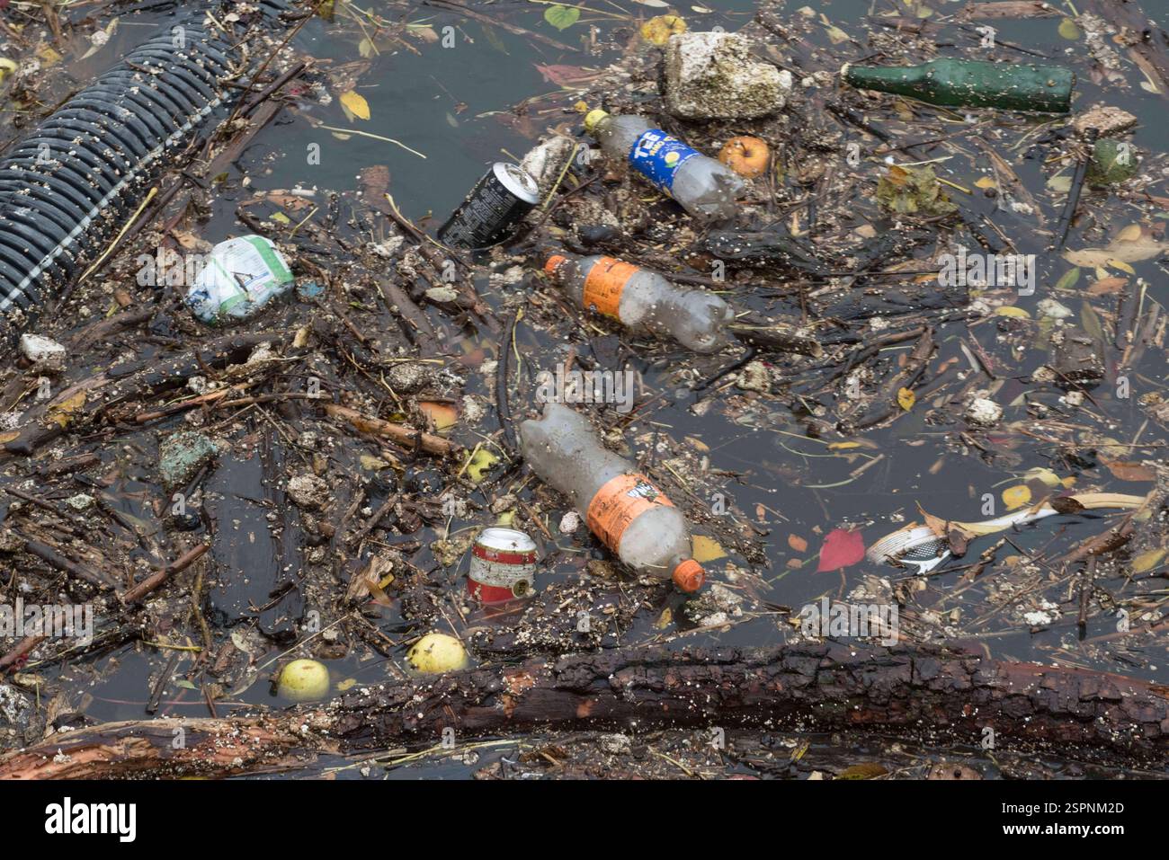 Water pollution from plastics hi-res stock photography and images - Alamy