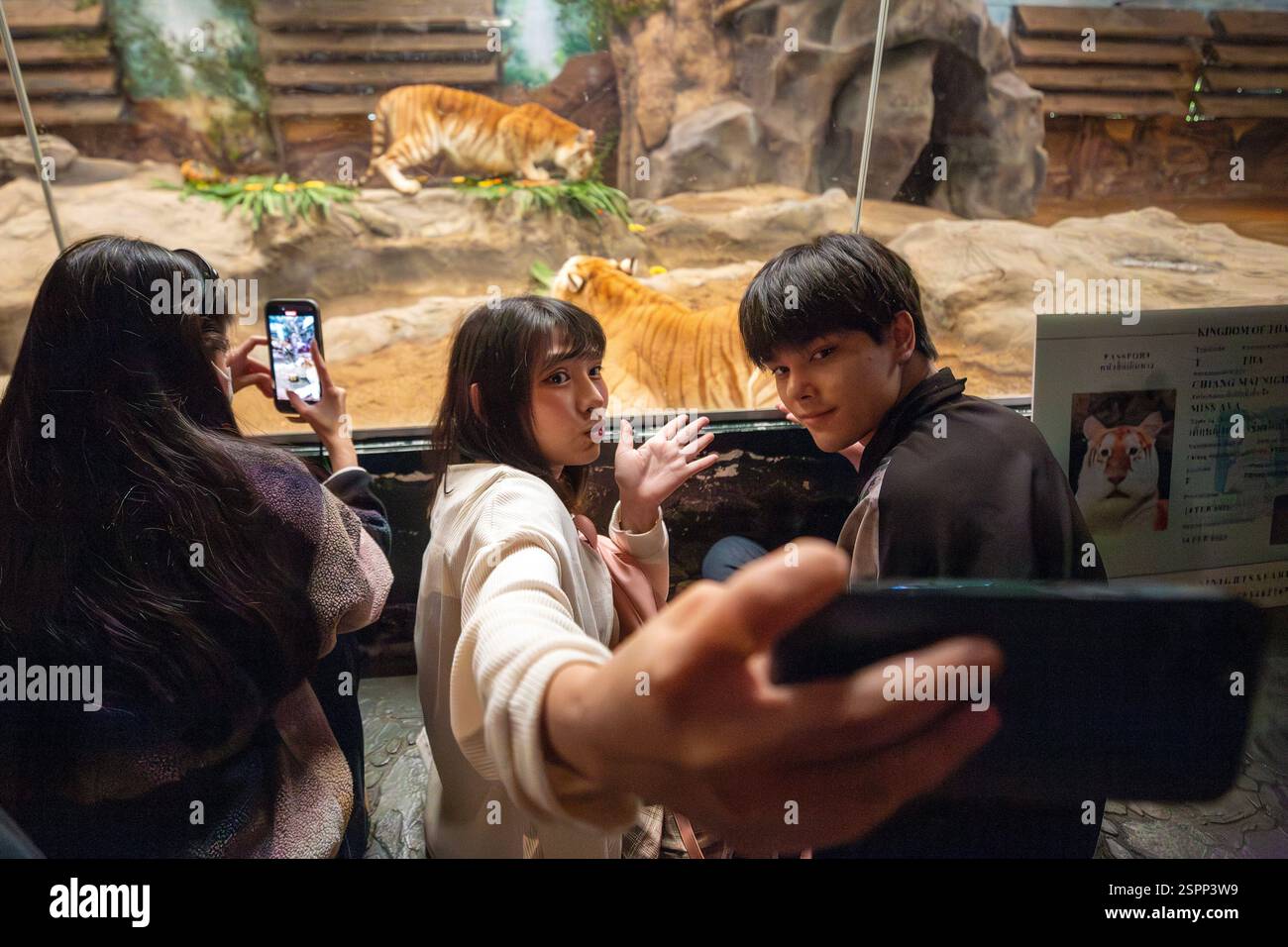 Chiang Mai, Thailand. 14th Feb, 2025. Visitors take selfies with Ava ...