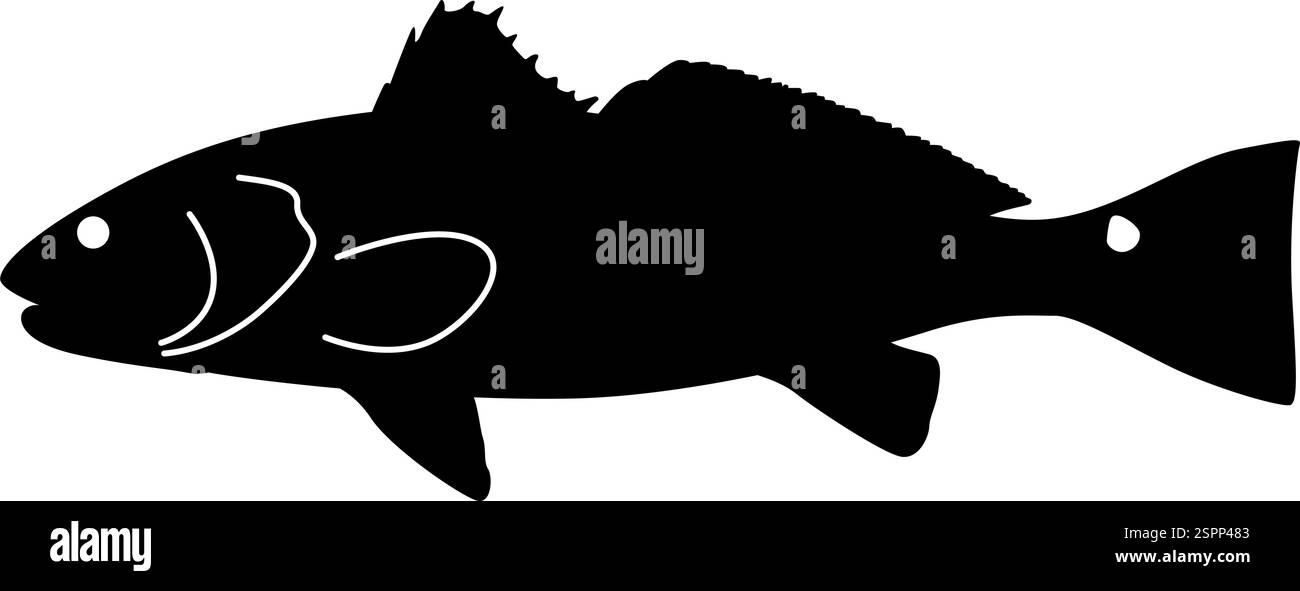 Red Drum Fish Digital EPS Vector File | High-Quality Marine Graphics ...