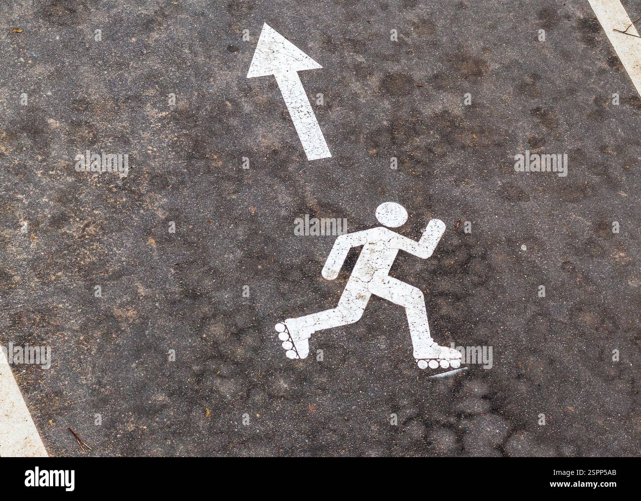 Shot of the paint marking on the asphalt indicating roller skating path ...