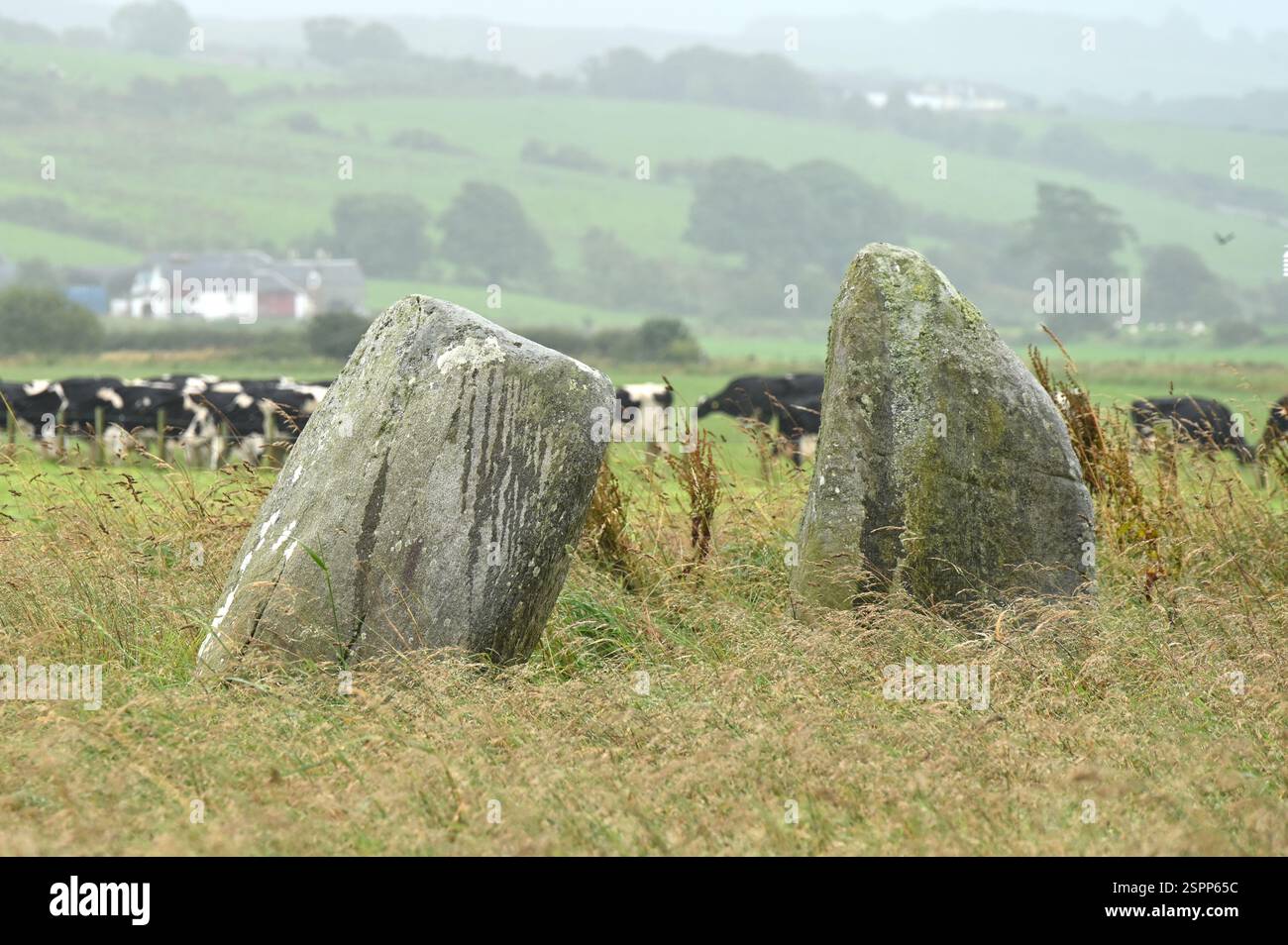 St colmac stone circle hi-res stock photography and images - Alamy