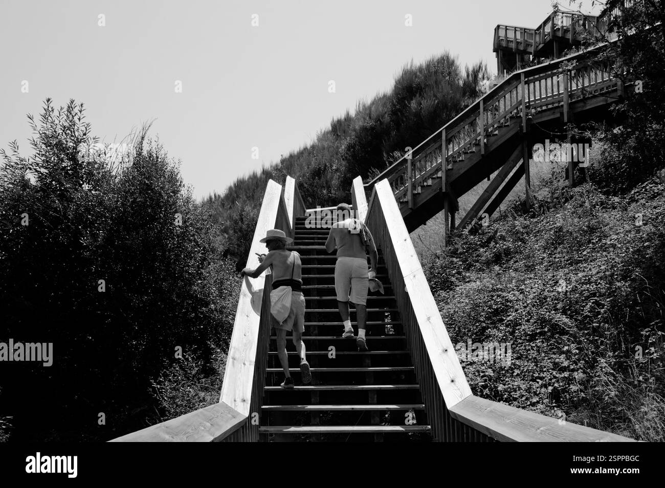 Mature hikers climb the wooden staircase of the Mondego Walkways Stock ...