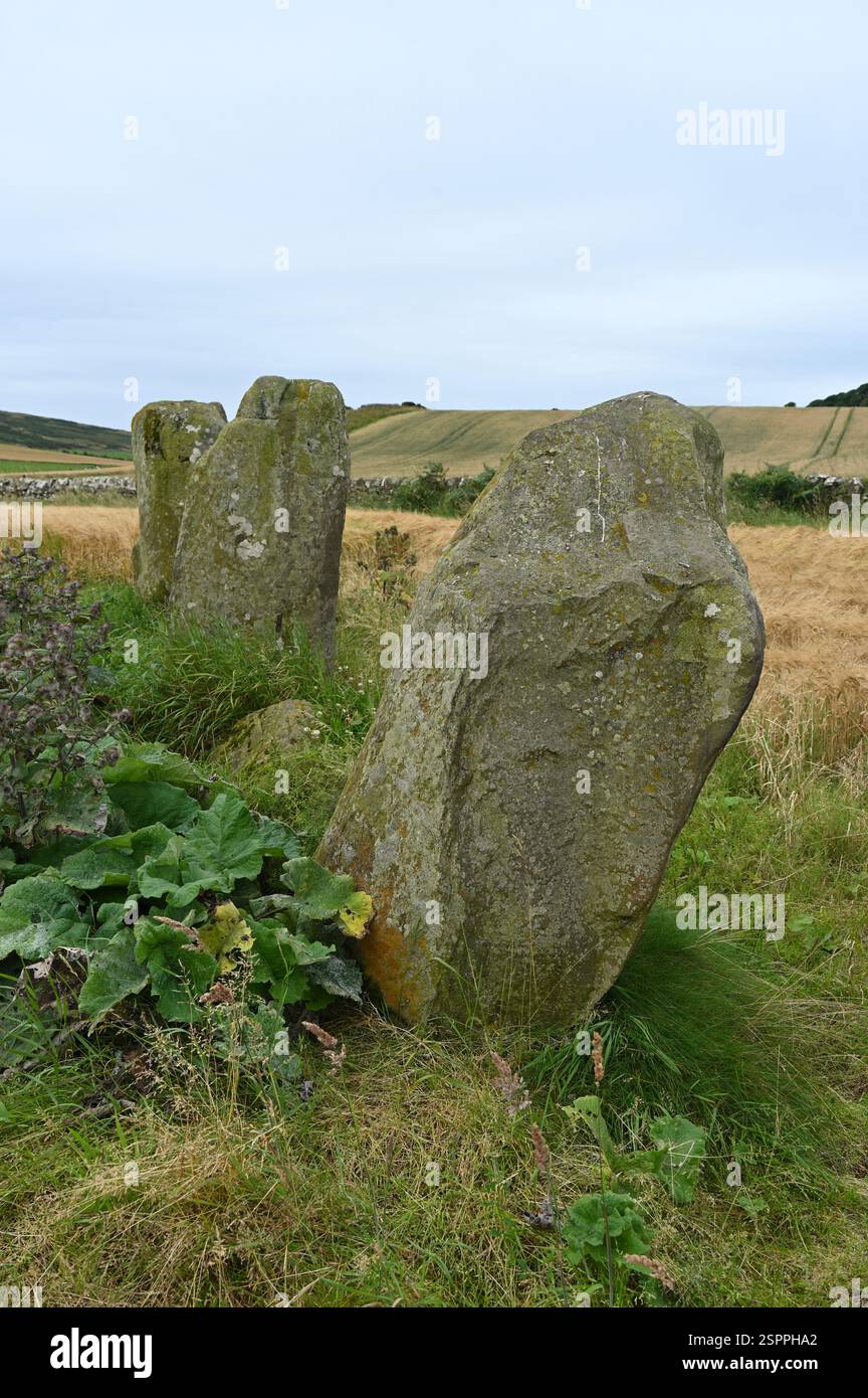 Stravanan bay stone row alignment hi-res stock photography and images ...