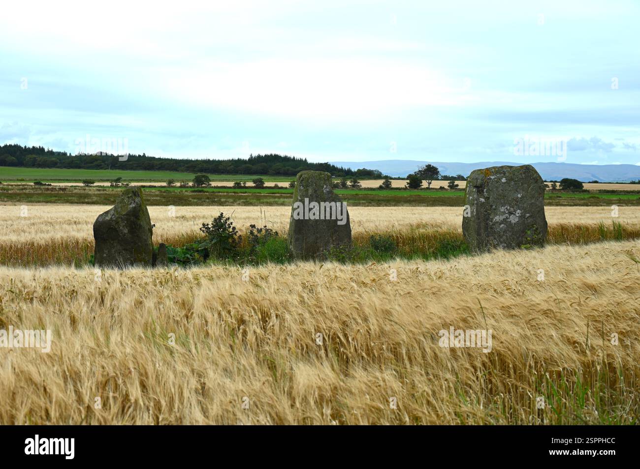 Stravanan Bay - Stone Row / Alignment or Largizean Farm standing stones ...
