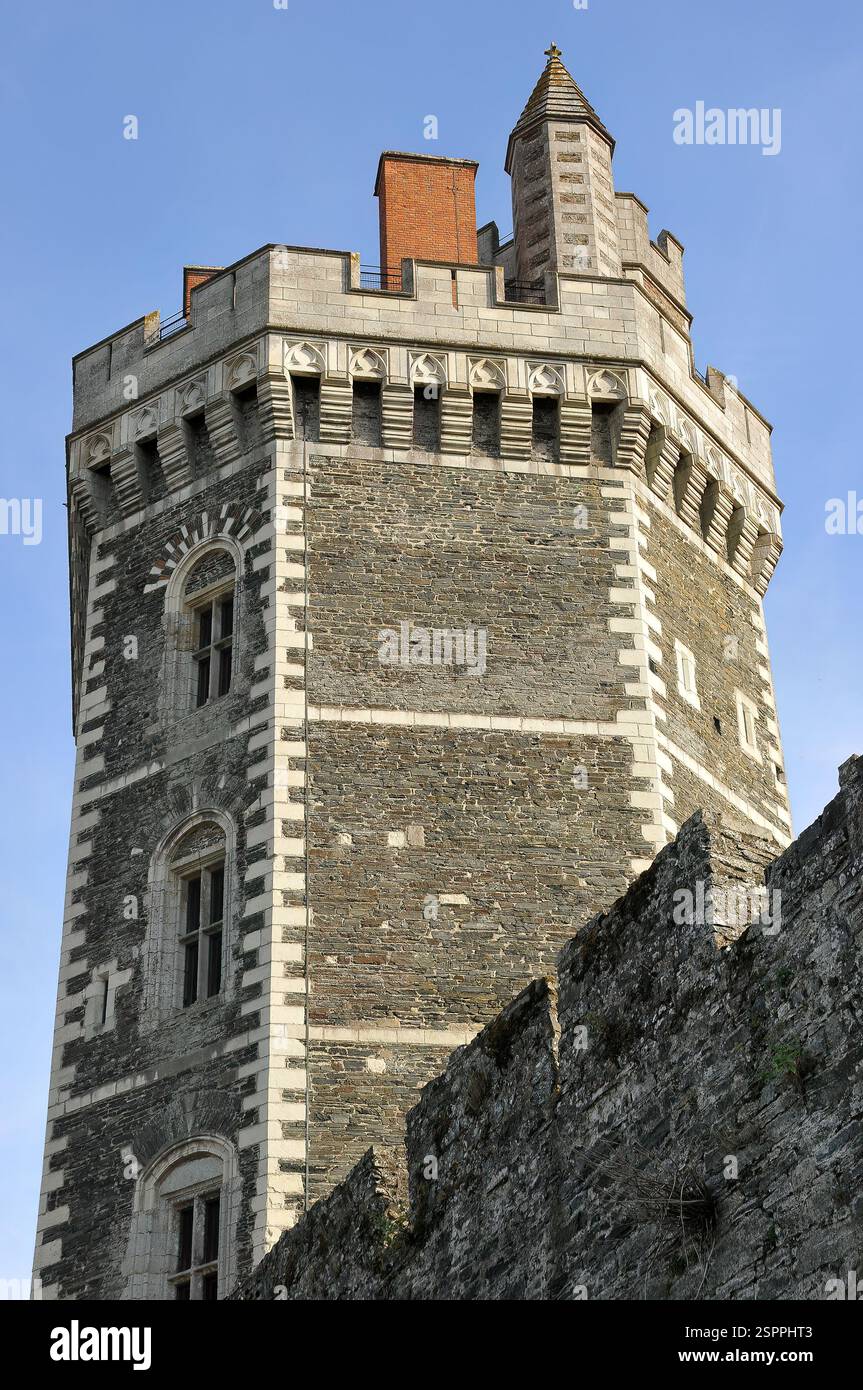 The 14th century tower of the Château d'Oudon, Oudon, France, Europe ...