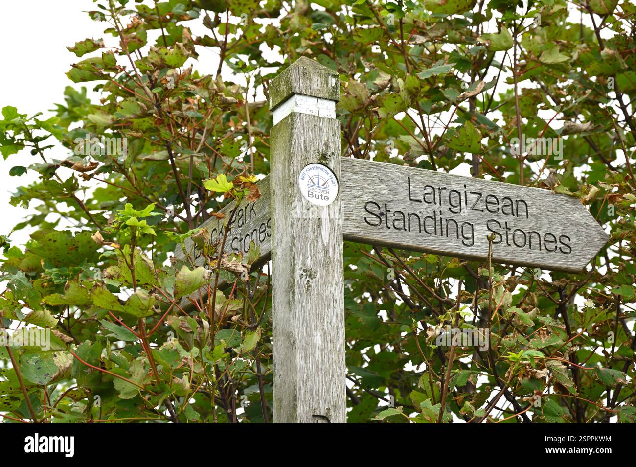 Footpath alignment hi-res stock photography and images - Alamy