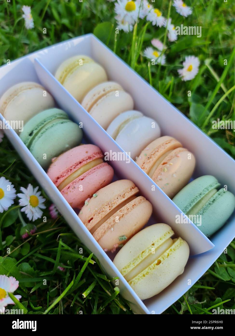 Pastel color macarons in the white box Stock Photo - Alamy