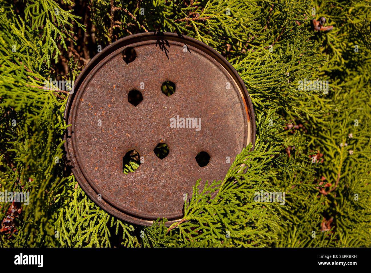 A rusty can lid with several bullet holes in it from target practice ...