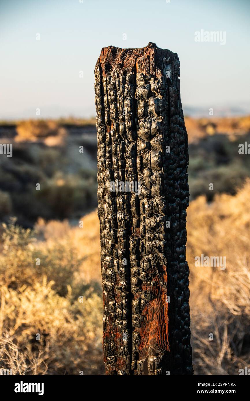 A wooden fence post burnt in a wildfire in the desert Stock Photo - Alamy