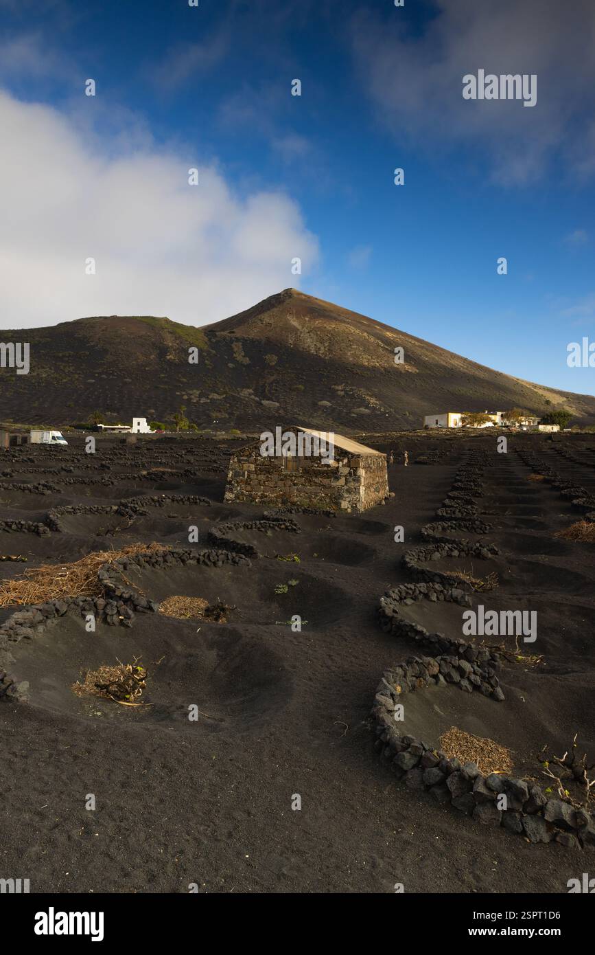 La Geria wine region in the heart of Lanzarote, La Geria, Canarias ...