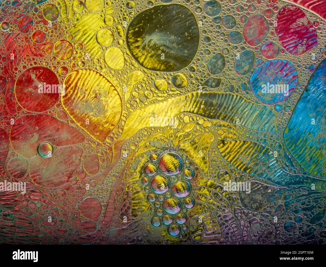 Semi abstract, arty / creative, macro still life of colour infused ...